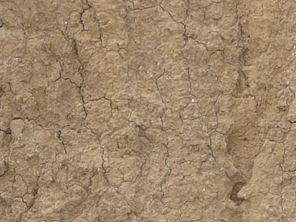 dry dirt wall texture 0049 - Texturelib